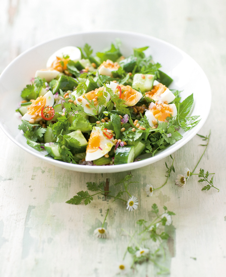 Michele Cranston | Sydney based food stylist